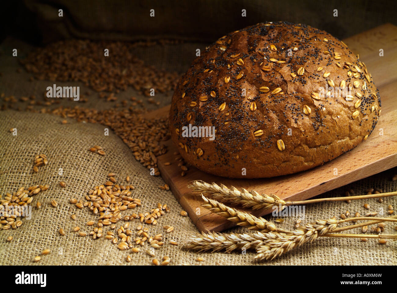 Freshly Baked Round Loaf of Bread Stock Photo - Alamy