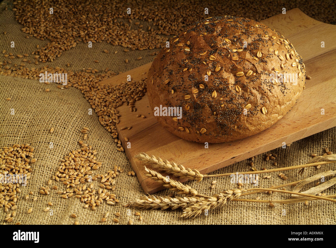 Freshly Baked Round Loaf of Bread Stock Photo - Alamy