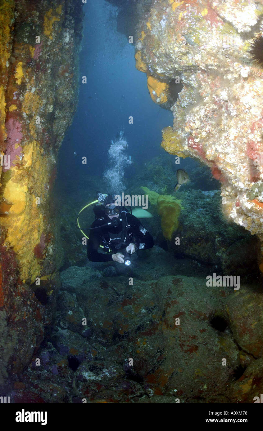 Poor knights island hi-res stock photography and images - Alamy