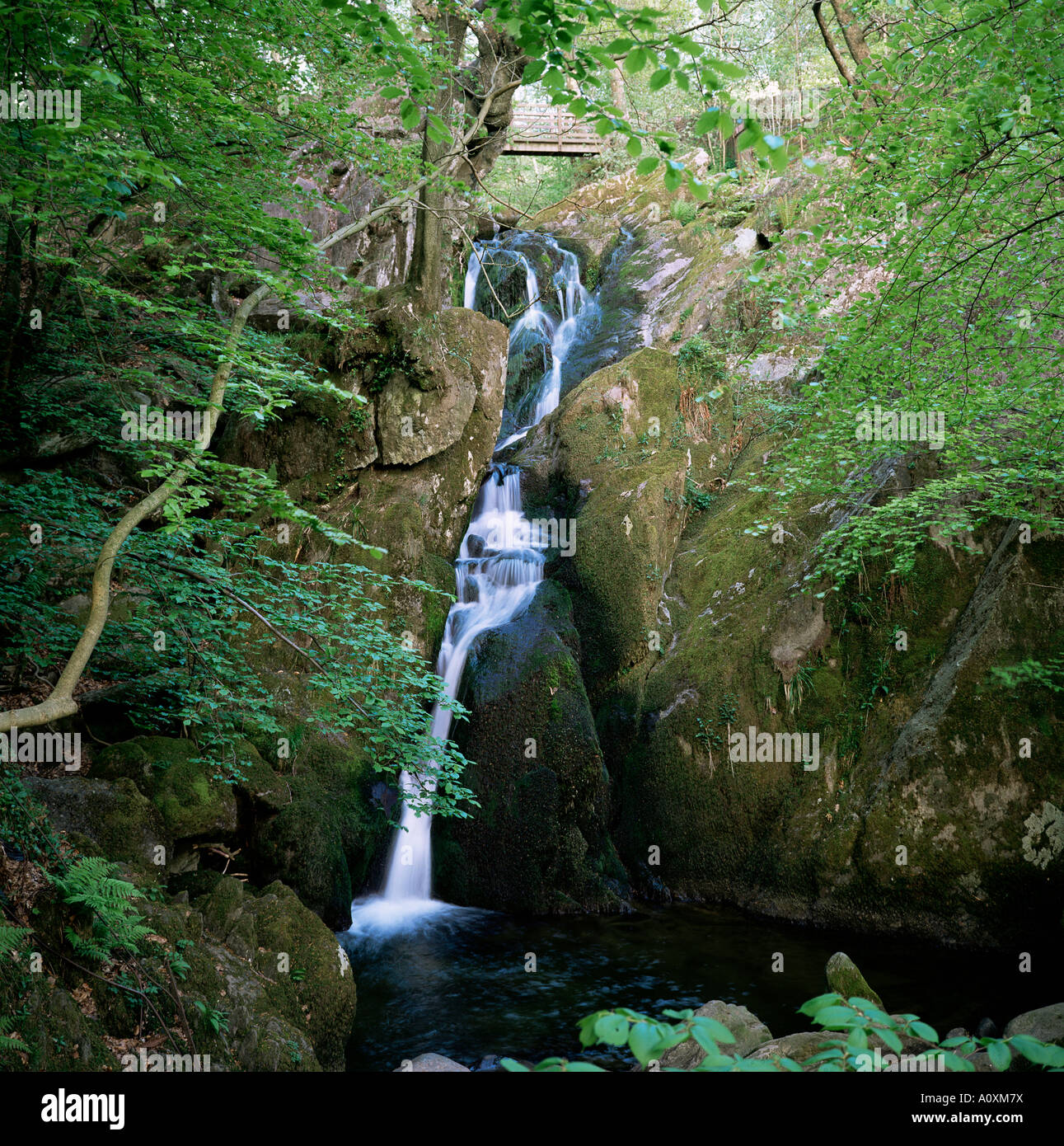 Stock Ghyll Force Ambleside Lake District Cumbria England United ...