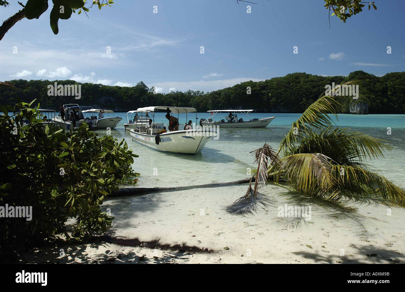 white beaches in Palau Stock Photo - Alamy