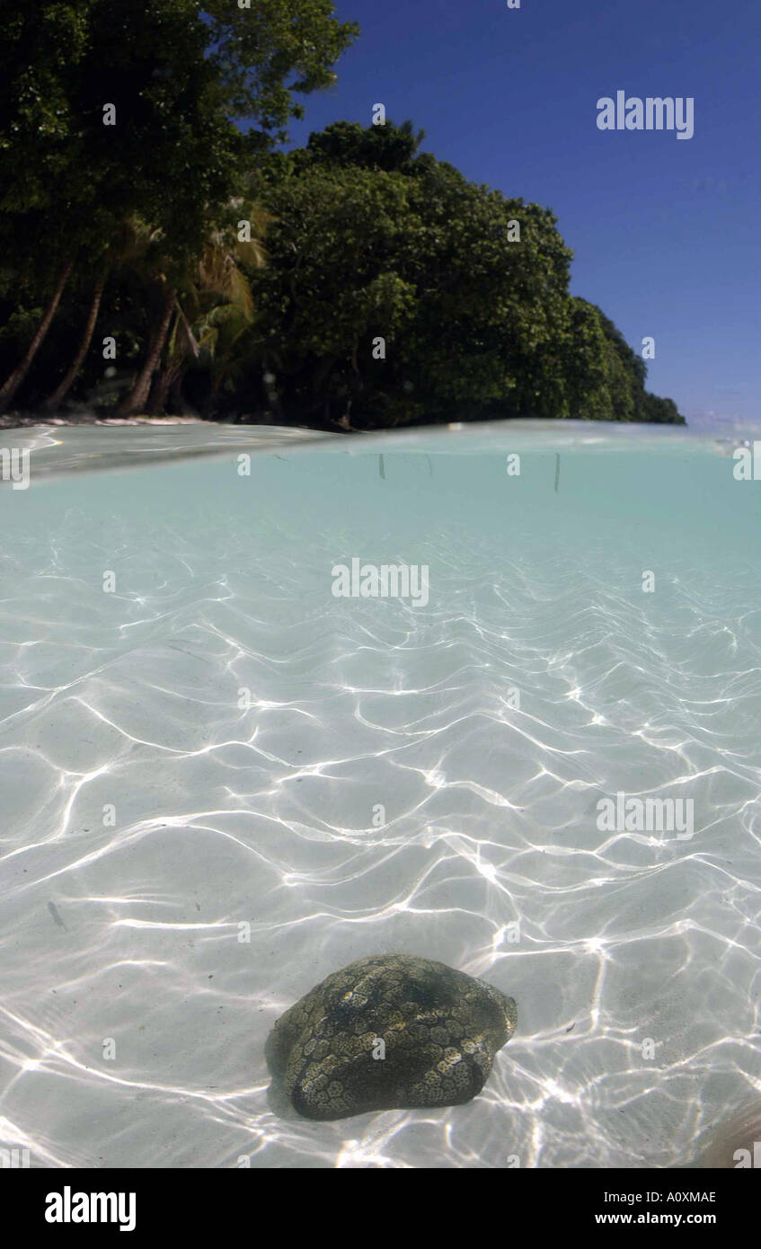 Palau shipwrecks hi-res stock photography and images - Alamy