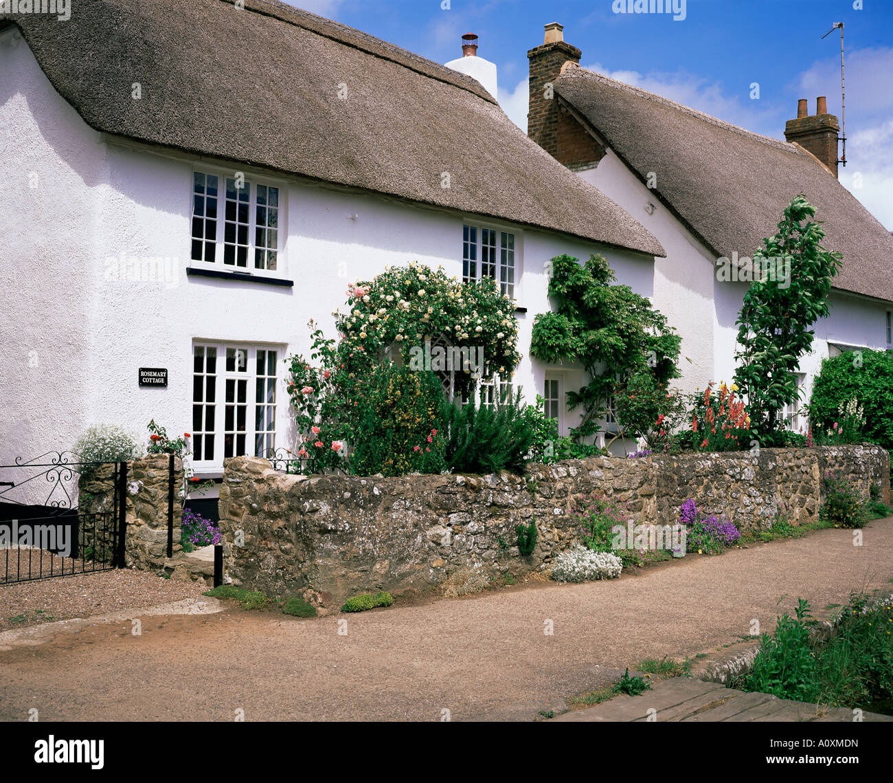 Thatched cottages Otterton south Devon England United Kingdom Europe ...