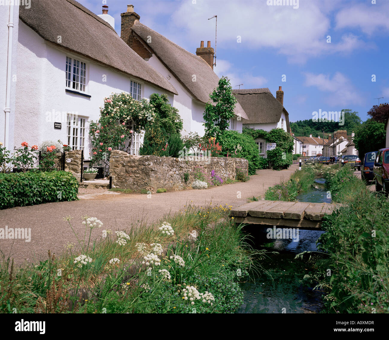 Thatched cottages Otterton south Devon England United Kingdom Europe ...