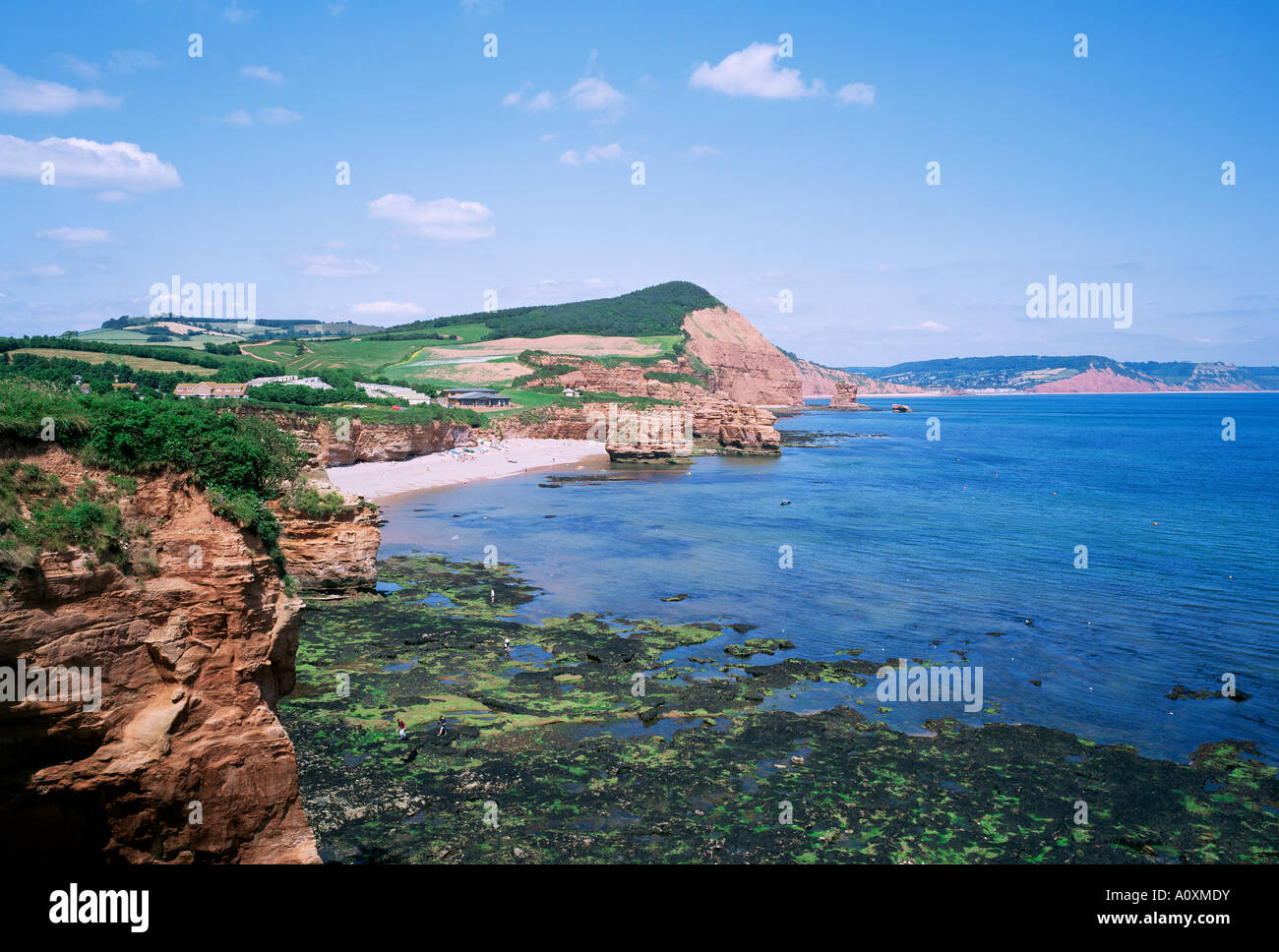 Sandstone stacks and cliffs Ladram Bay Devon England United Kingdom ...