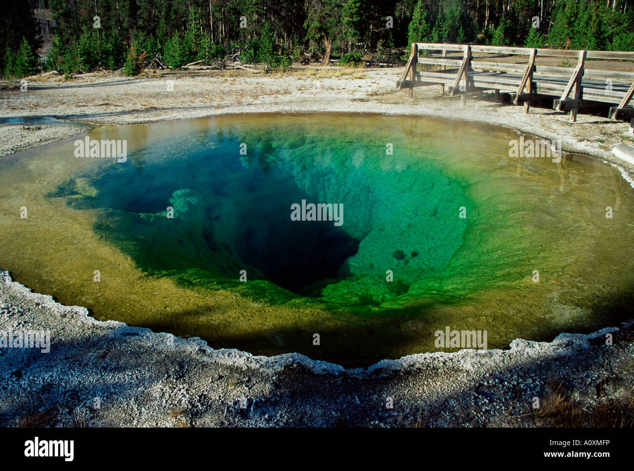 Morning Glory spring Yellowstone National Park UNESCO World Heritage ...