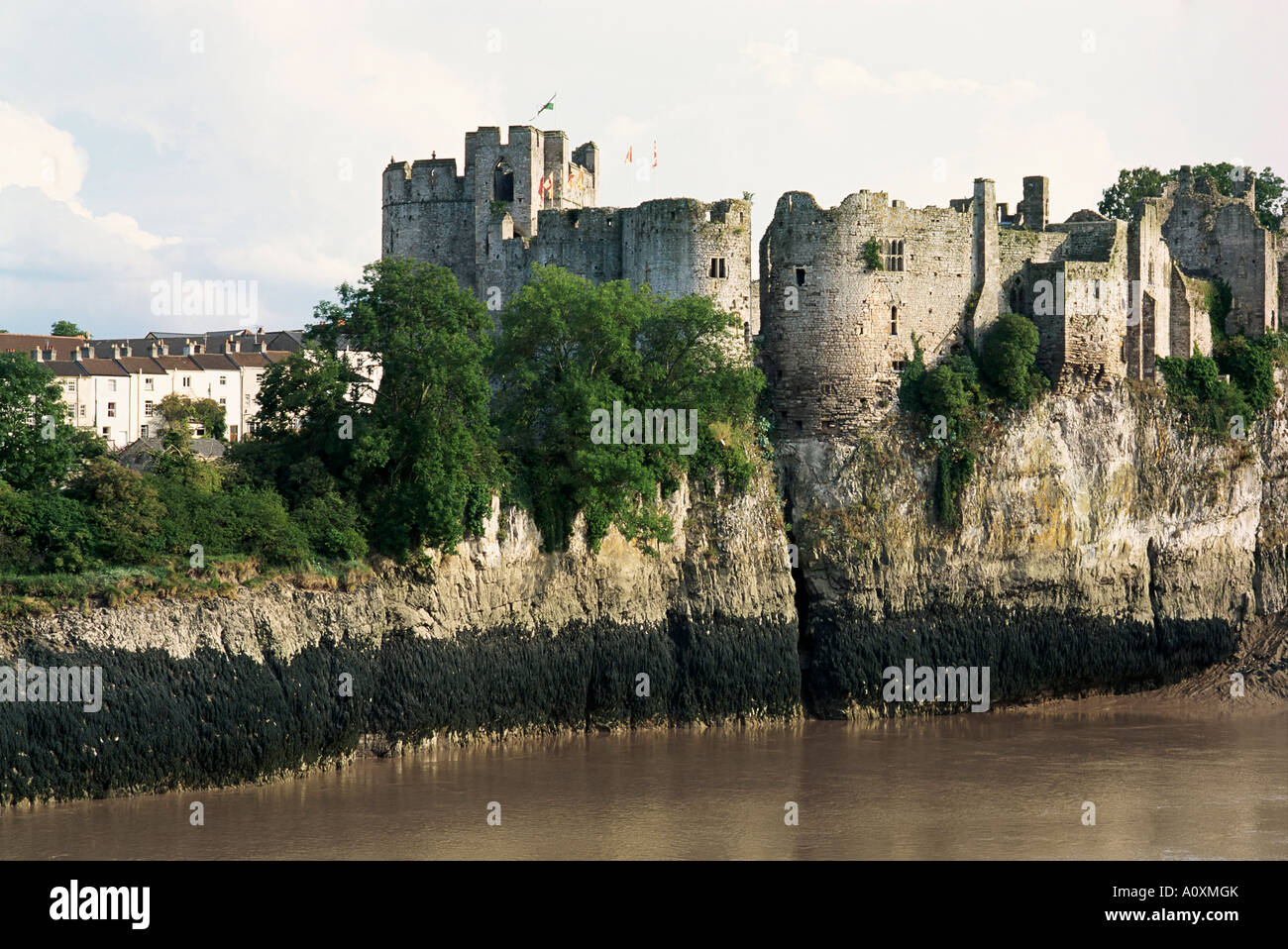 Ruins of chepstow castle hi-res stock photography and images - Alamy