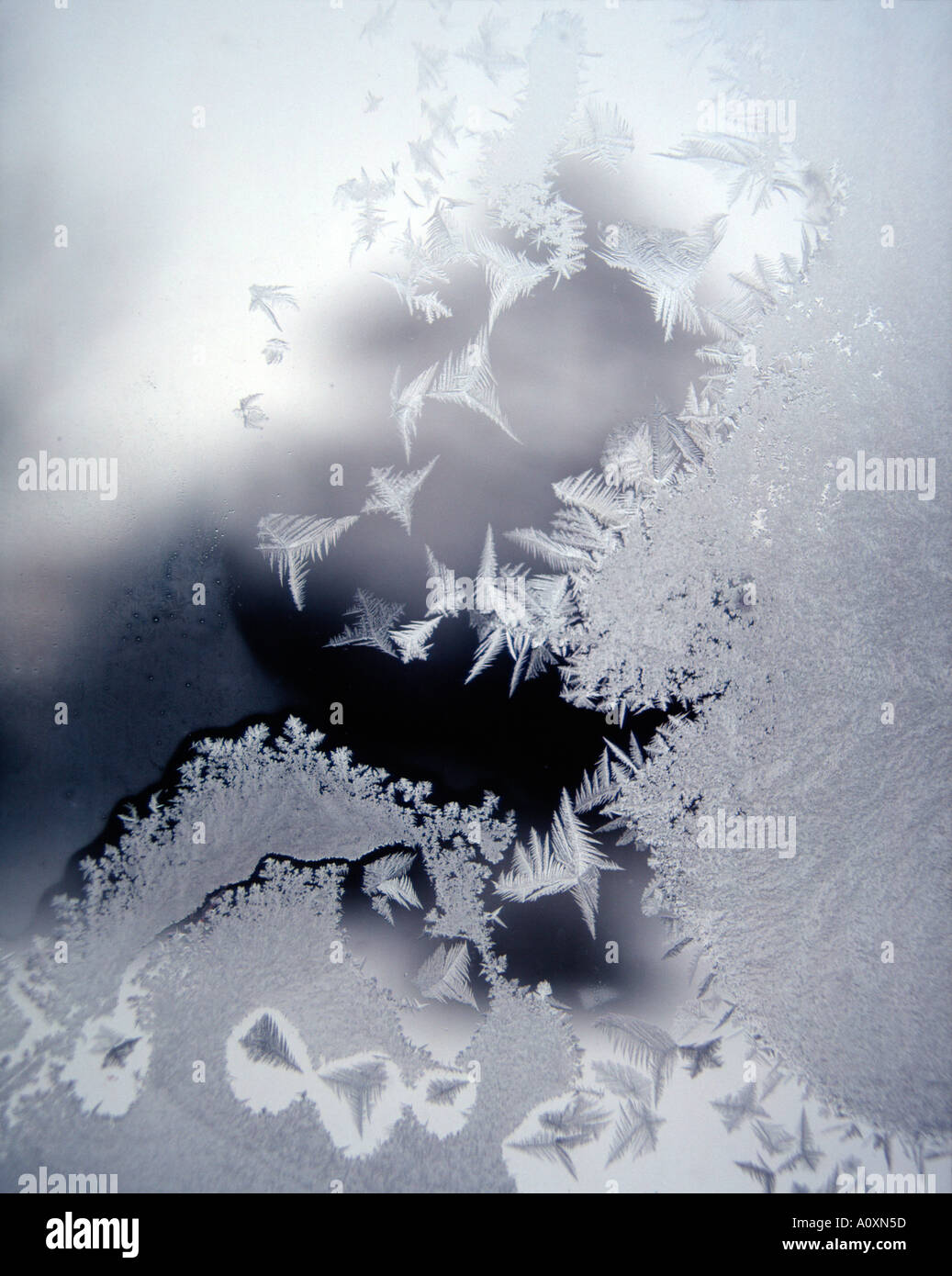 detail of frost patterns on window Stock Photo - Alamy