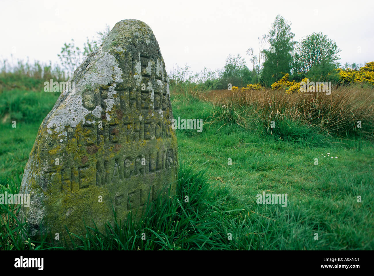 Battle site Culloden Moor Highland region Scotland United Kingdom ...