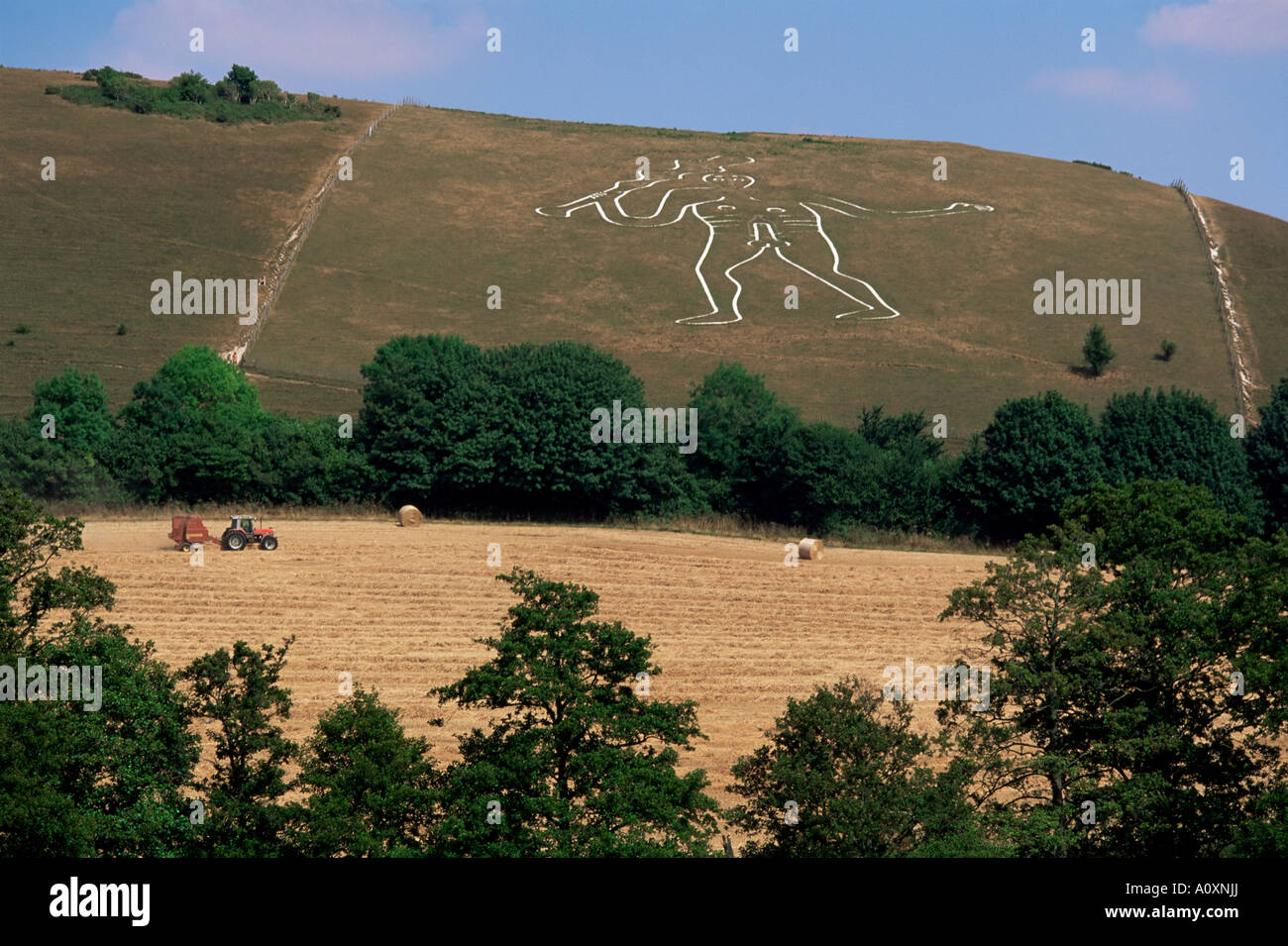 Cerne Abbas Giant Cerne Abbas Dorset England United Kingdom Europe ...