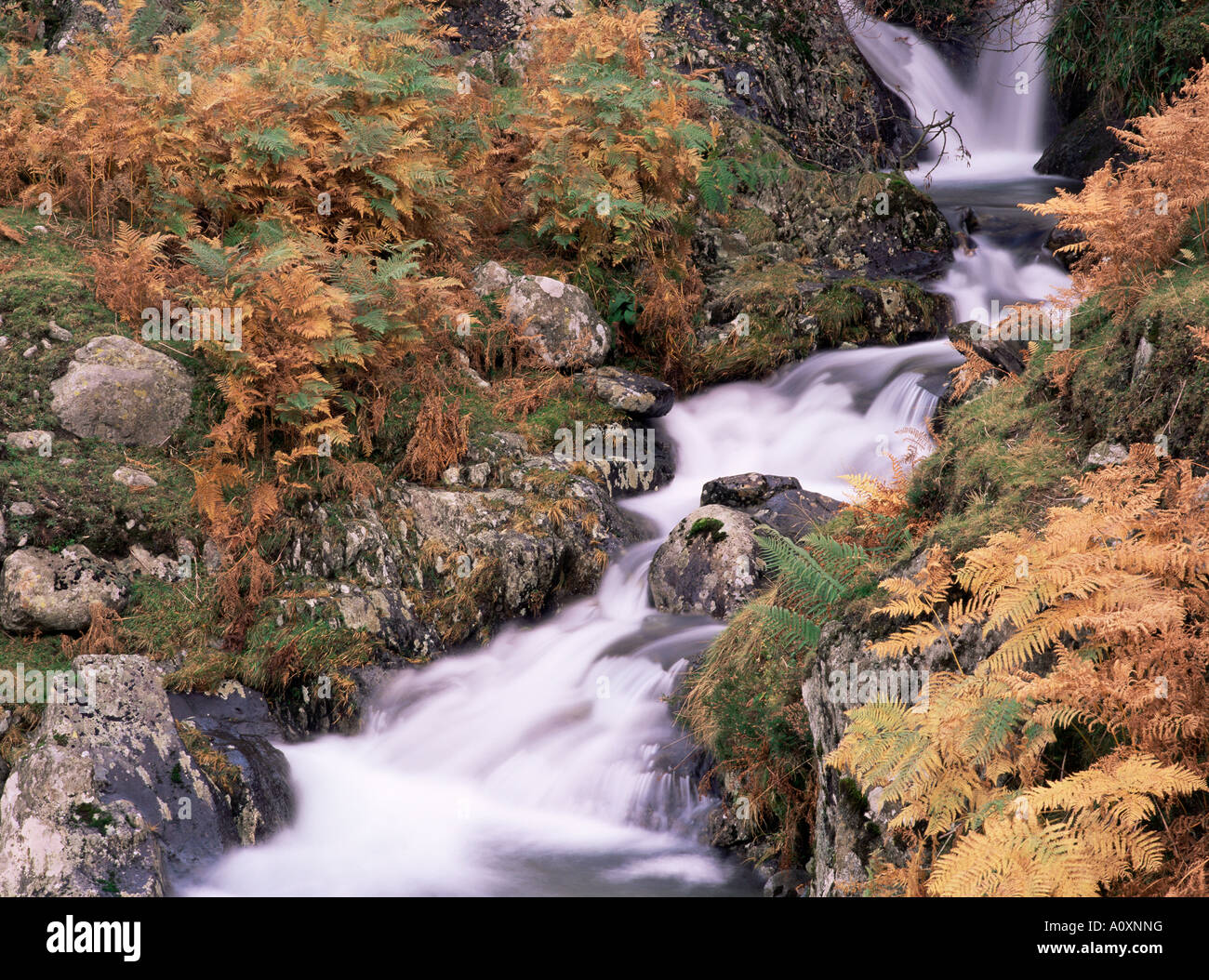 Waterfall in autumn Lake District Cumbria England United Kingdom Europe ...