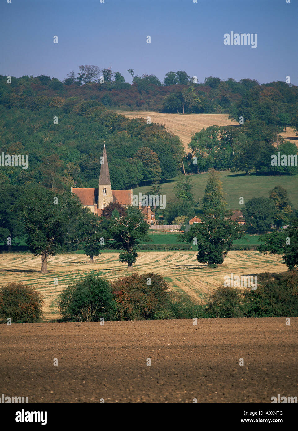 Titsey Surrey High Resolution Stock Photography and Images - Alamy
