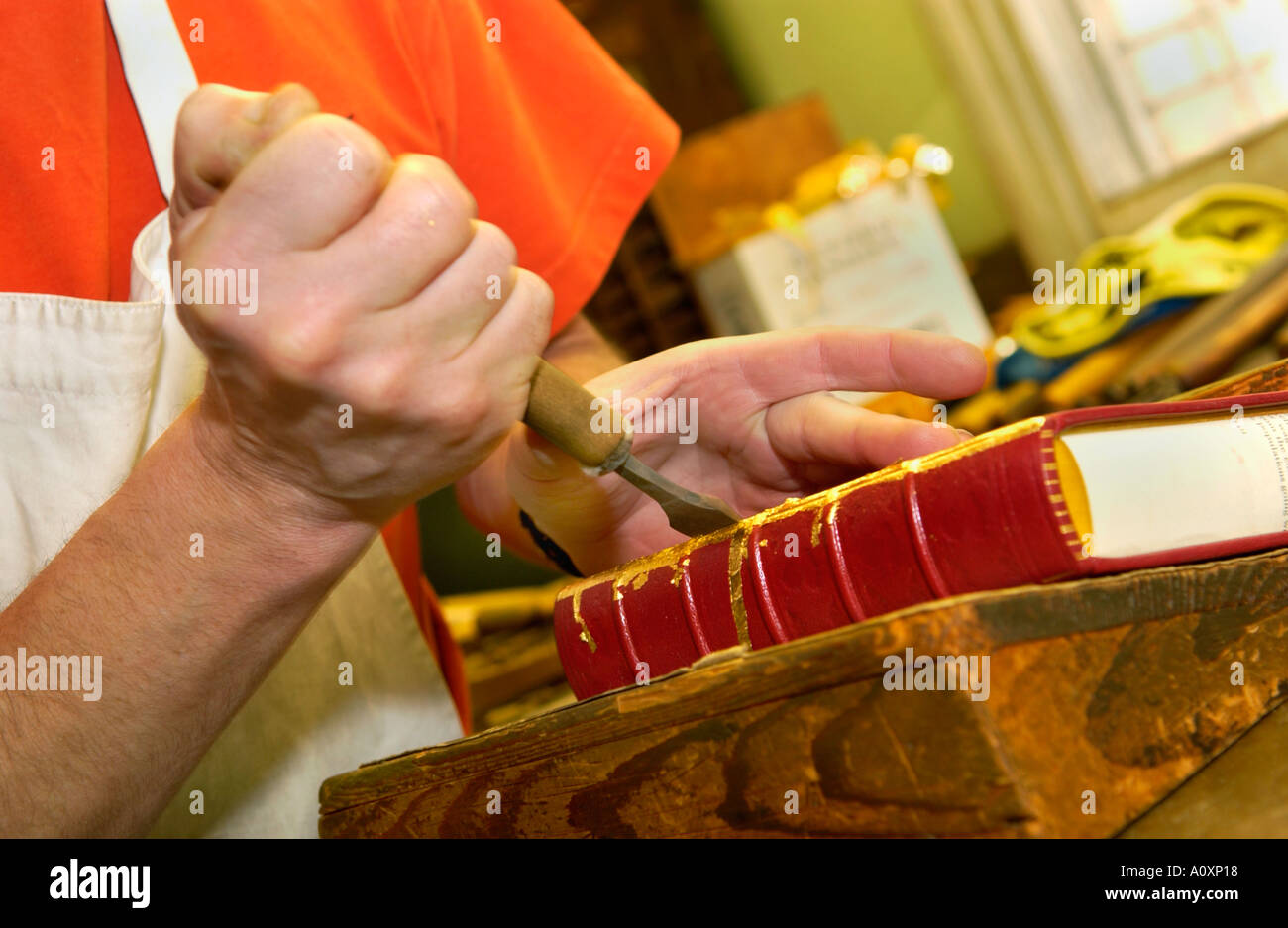 Craftsman guilding a book at the George Bayntun book bindery Bath Stock ...