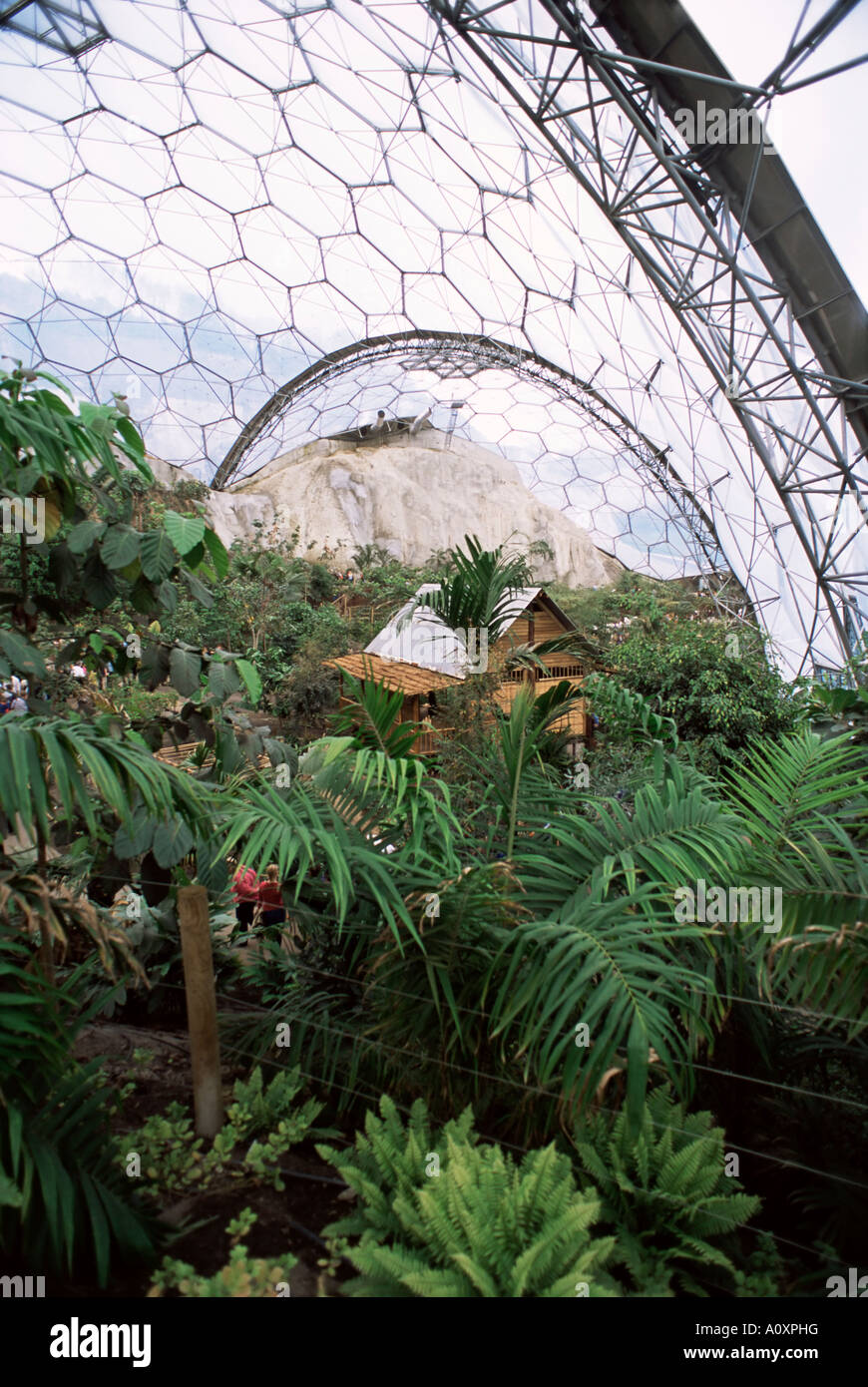 Biome interior The Eden Project near St Austell Cornwall England United ...
