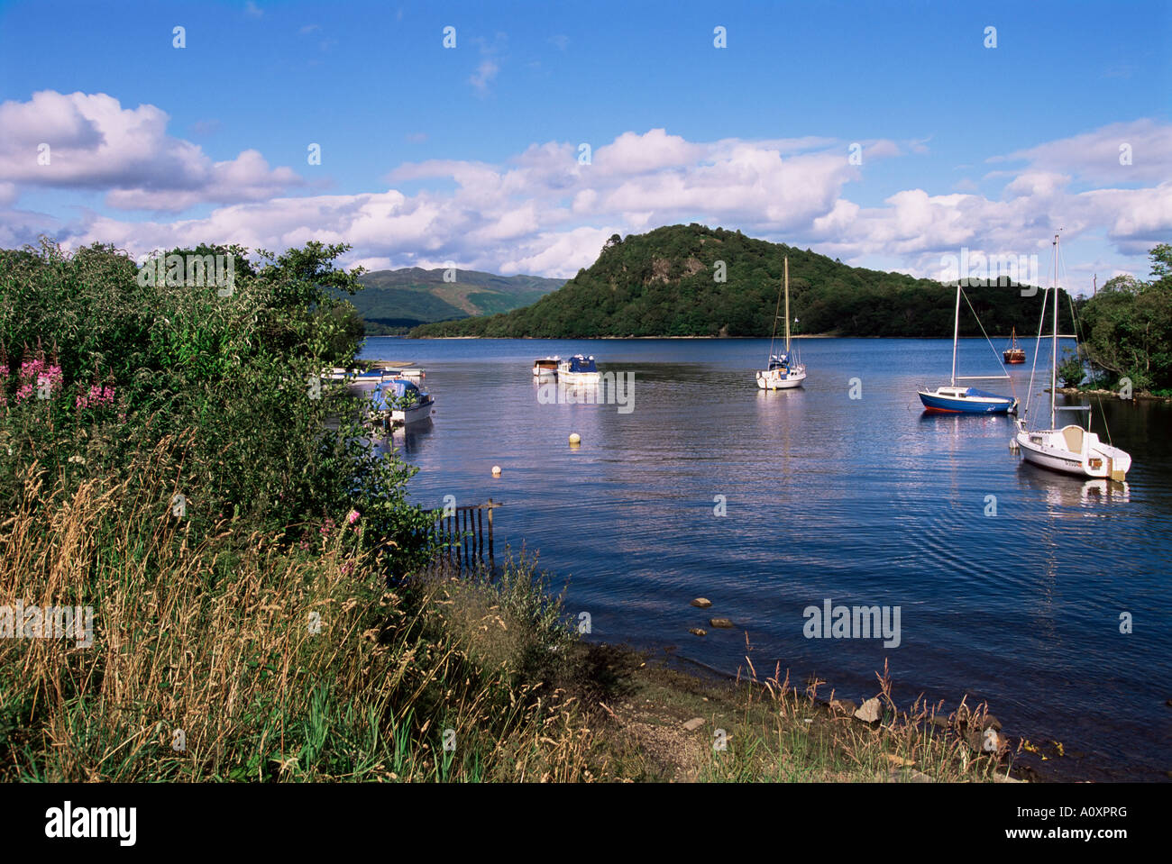 Loch Lomond Trossachs Strathclyde Scotland United Kingdom Europe Stock ...