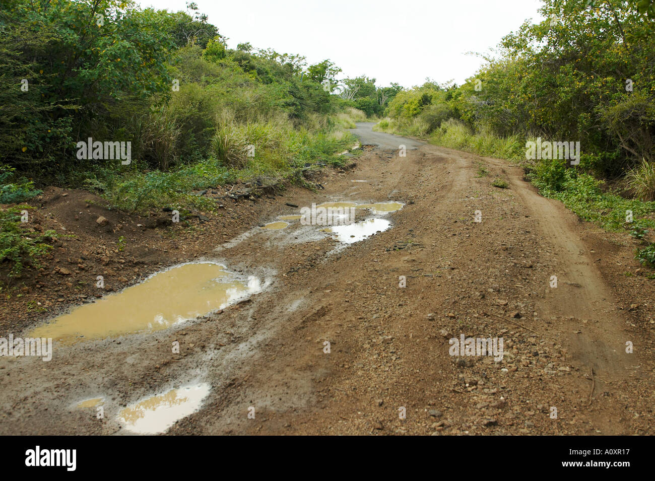 Punta soldado hi-res stock photography and images - Alamy