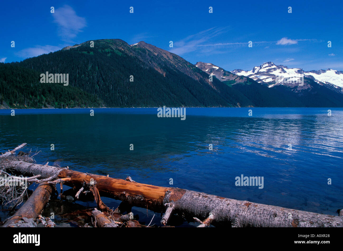 View across Garibaldi lake towards Panorama Ridge Canada Stock Photo ...