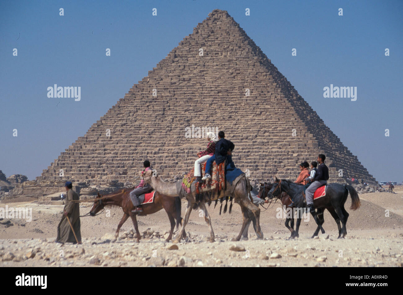 The great pyramid of Khufu at Giza with horses camel and tourists ...