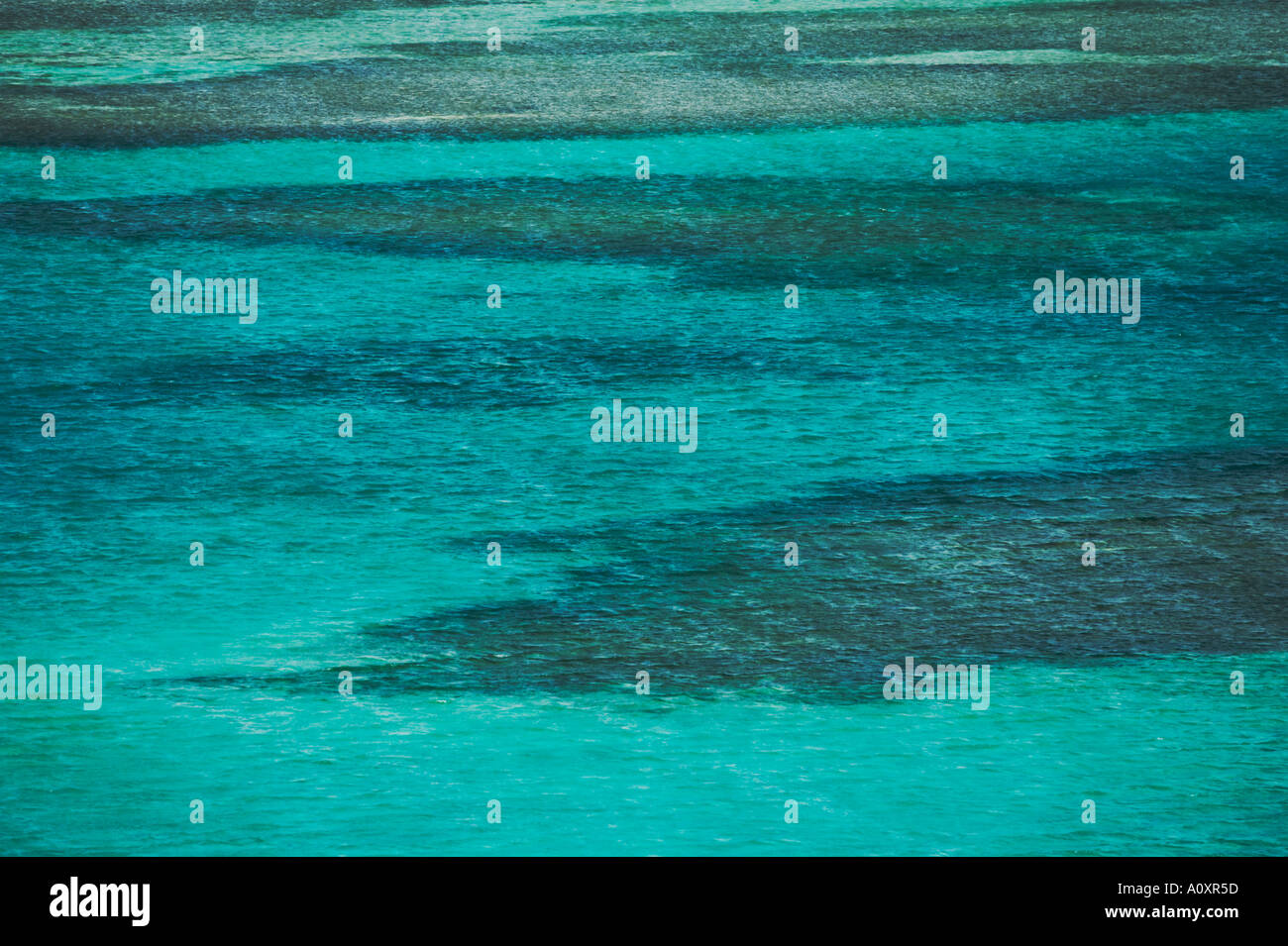 PUERTO RICO Culebra Shallow waters of Ensenada Honda two different ...
