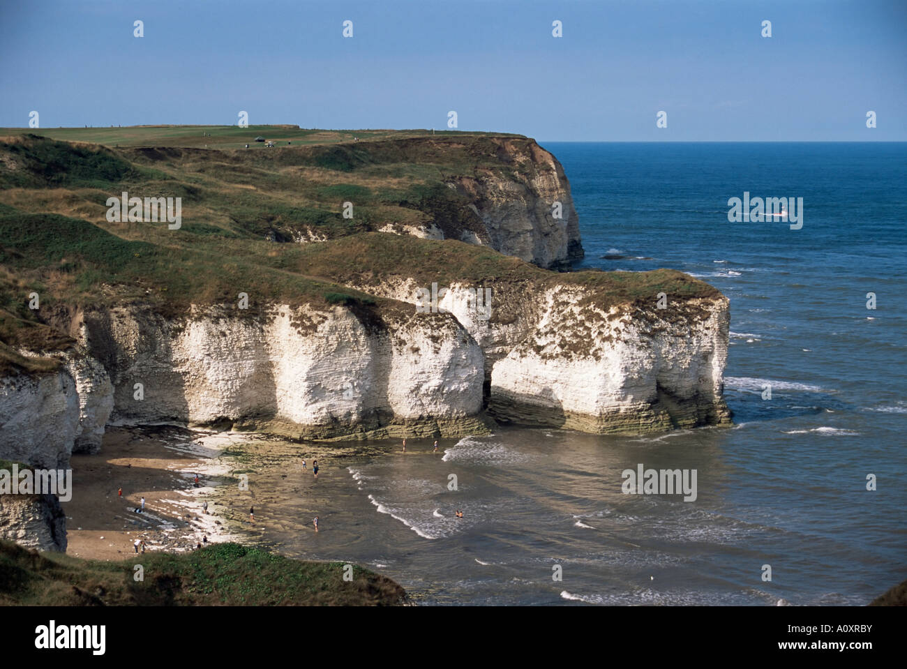 Flamborough Head East Yorkshire Yorkshire England United Kingdom Europe ...