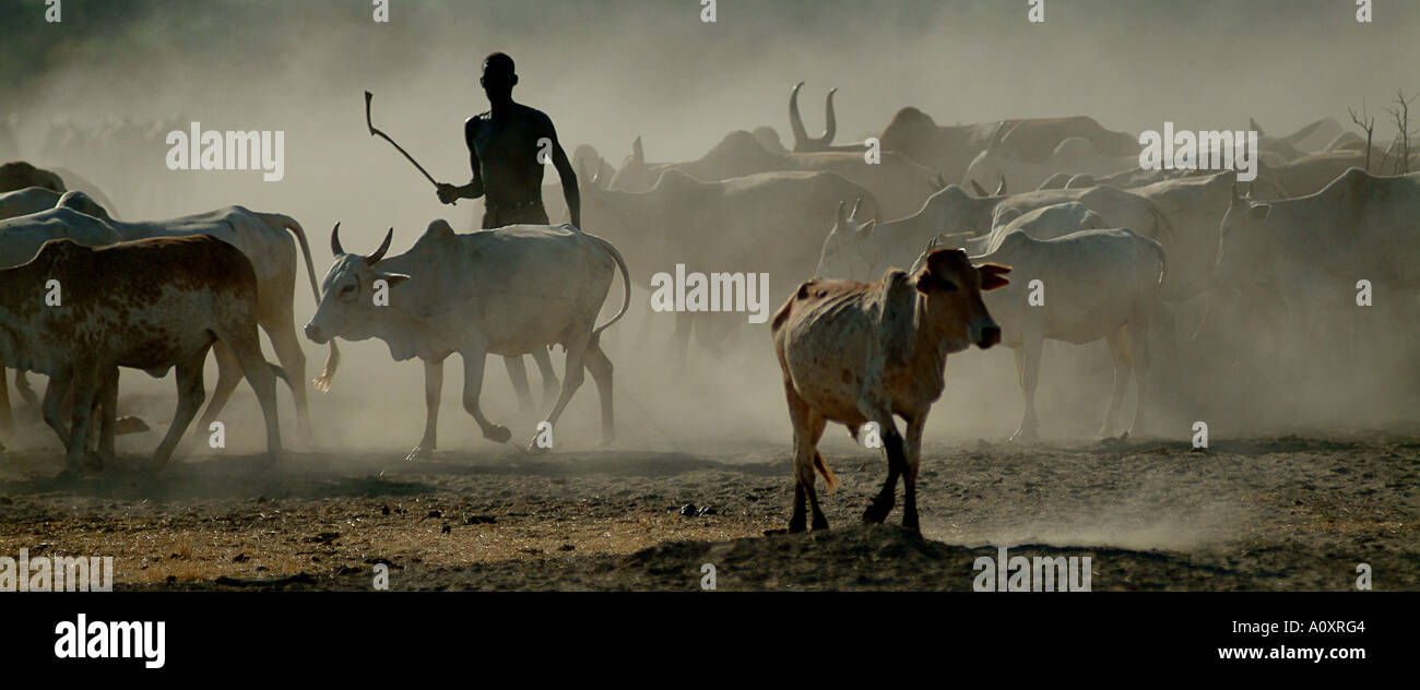 Omotic tribes hi-res stock photography and images - Alamy