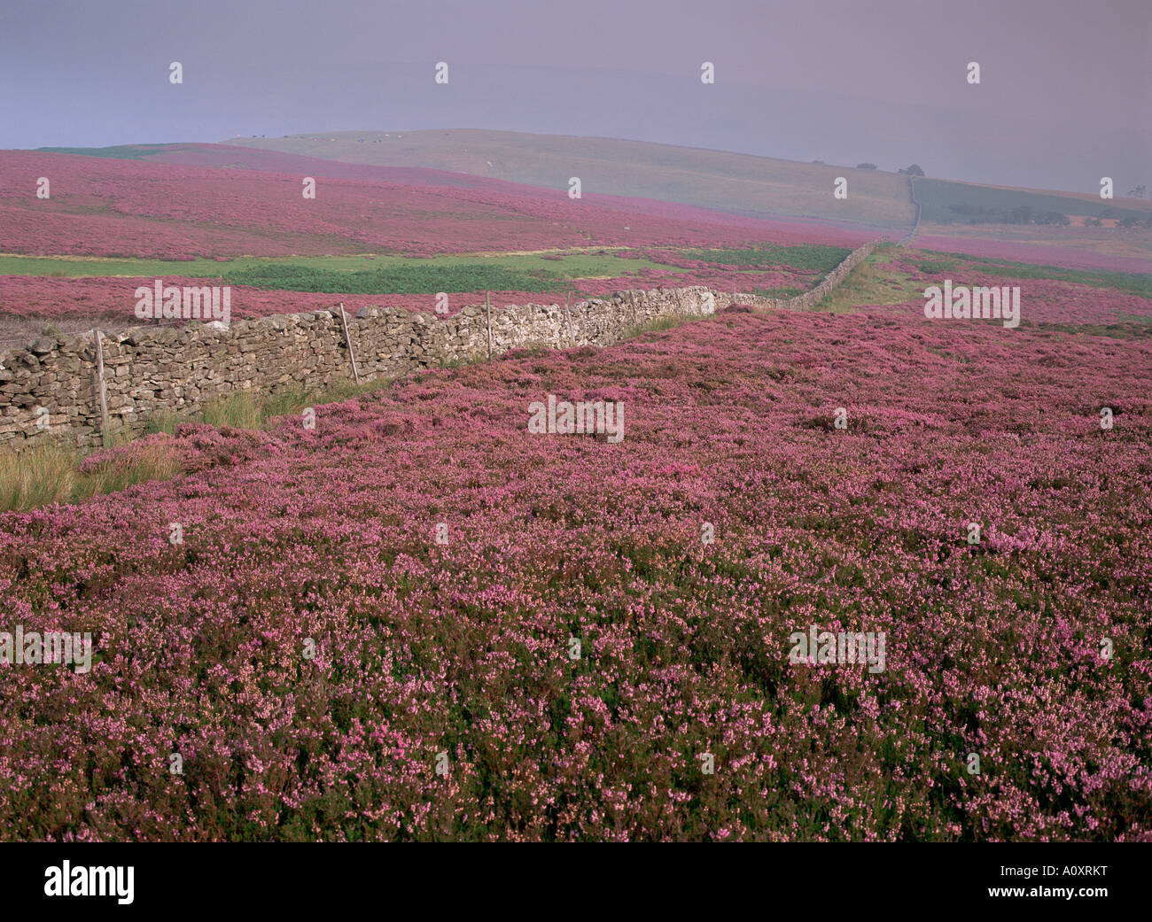 Moors near Grinton Yorkshire England United Kingdom Europe Stock Photo ...
