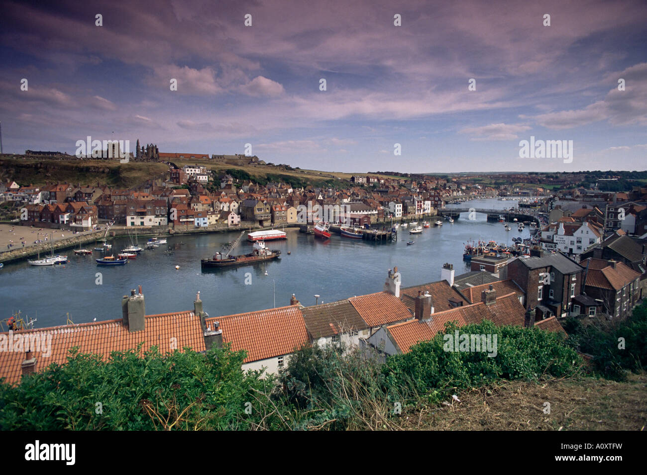 Whitby Yorkshire England United Kingdom Europe Stock Photo - Alamy