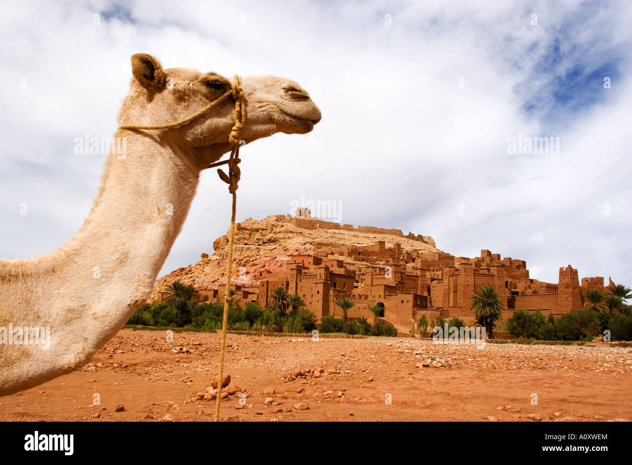 Ait Benhaddou Kasbah mud fortress Ouarzazate Atlas mountains Morocco ...
