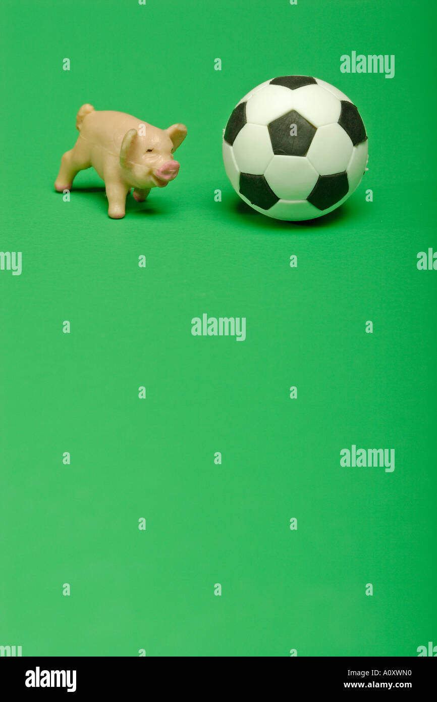 Football sport pig soccer hi-res stock photography and images - Alamy