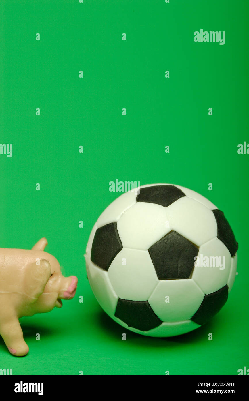 Football sport pig soccer hi-res stock photography and images - Alamy