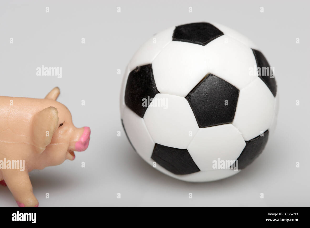 Soccer ball and lucky pig Stock Photo - Alamy