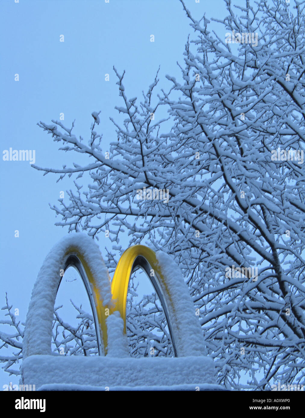 Snowed in McDonalds sign Stock Photo - Alamy