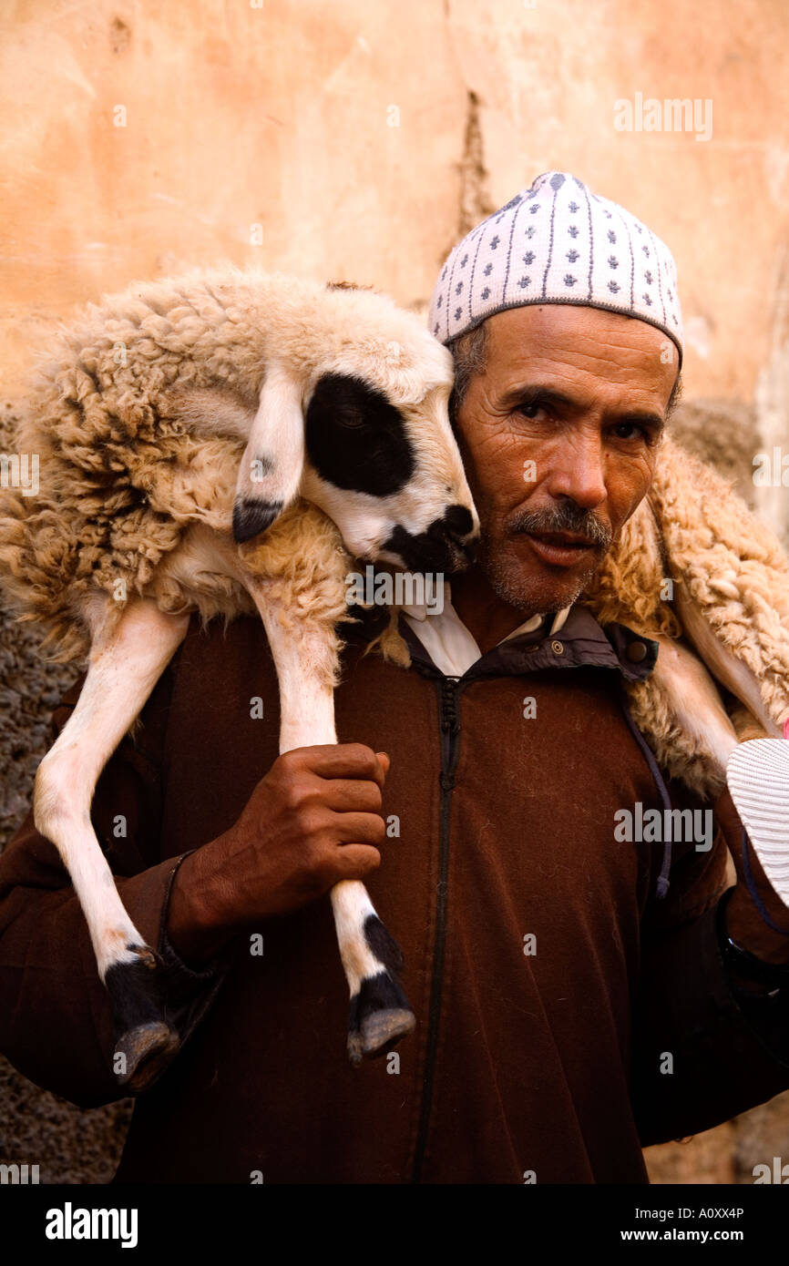Man carrying a goat at the Medina old Town Marrakesh Morocco Stock ...