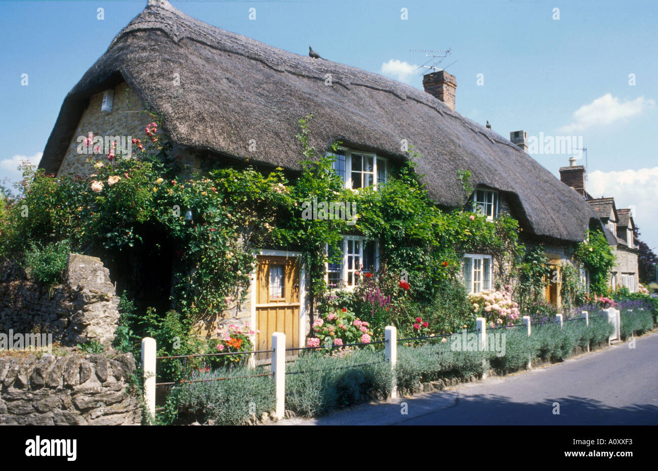 A traditional old English thatched roof Cottage set in a rural village ...
