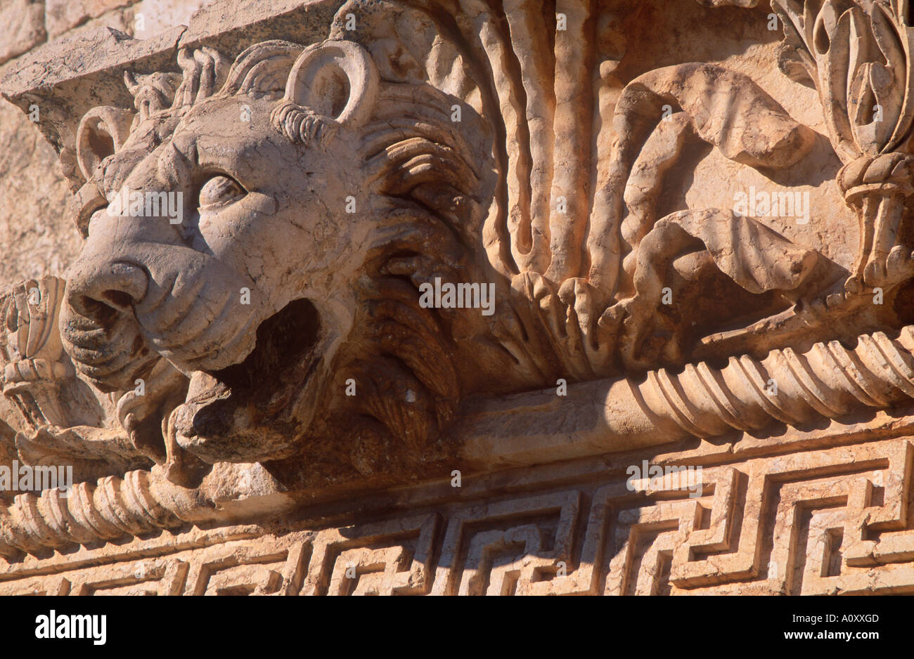 Lion's head relief Baalbek Ruins Lebanon Stock Photo - Alamy