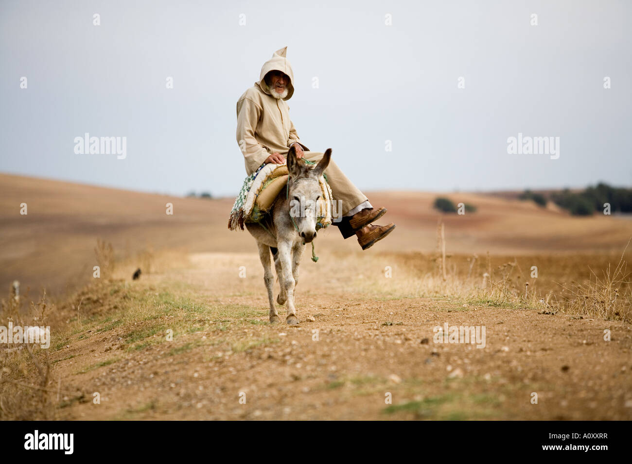Old man riding a donkey at the Rif mountains Morocco Stock Photo - Alamy