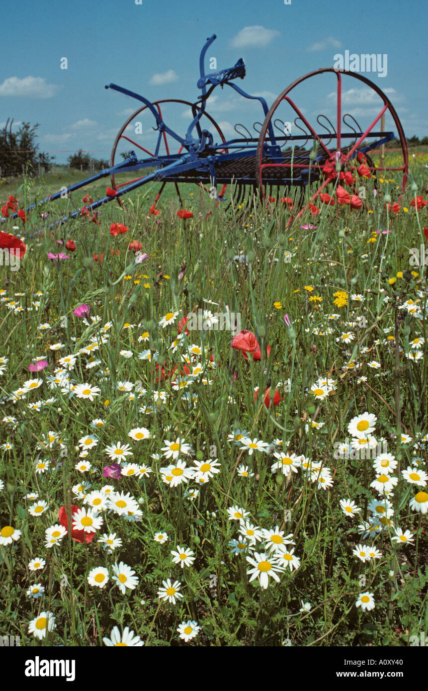 Old Farm Implement in Flowery Meadow Stock Photo - Alamy
