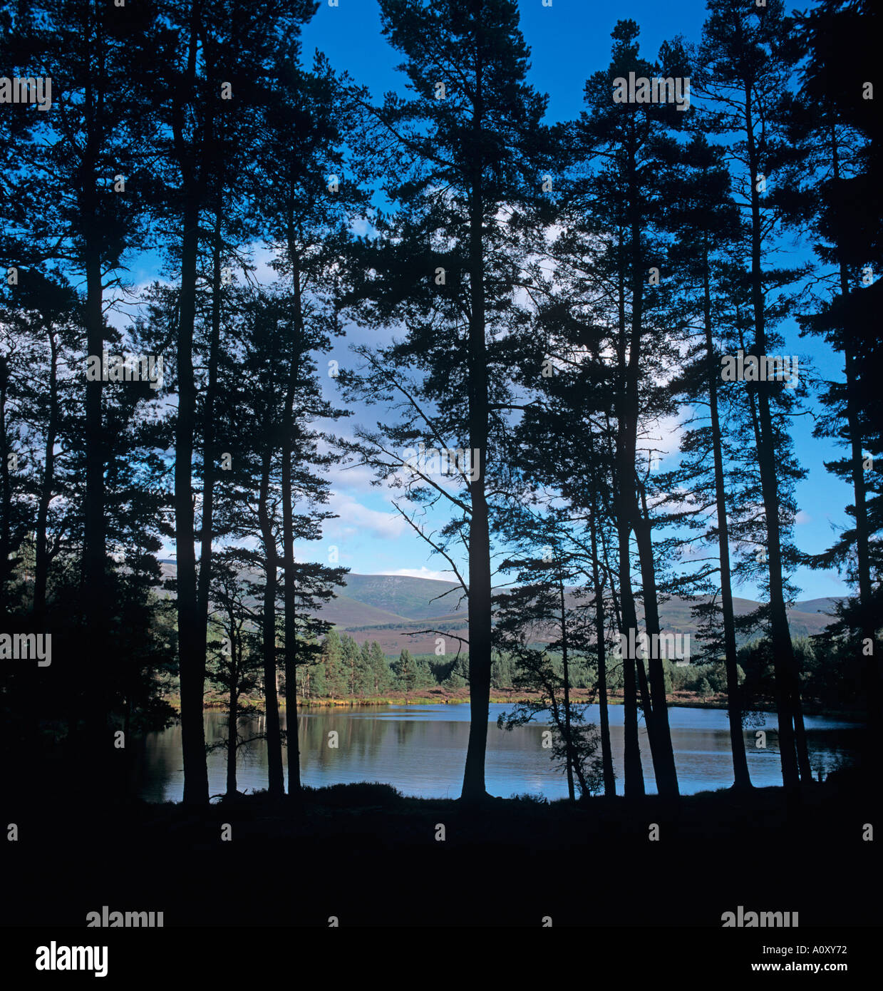 Loch An Eilein Scottish Highlands Stock Photo - Alamy