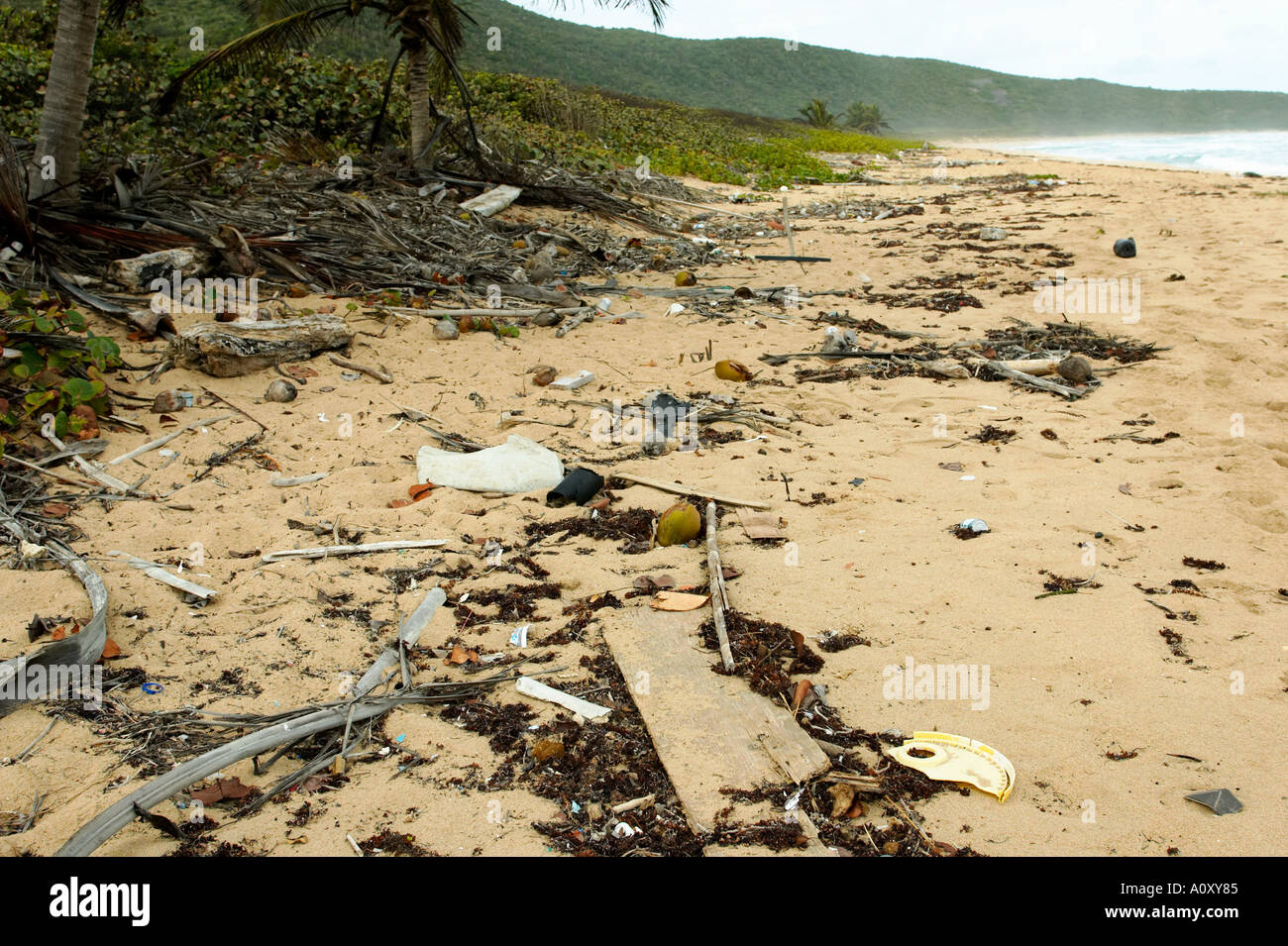 PUERTO RICO Culebra Brava Beach north side of island strong waves ...