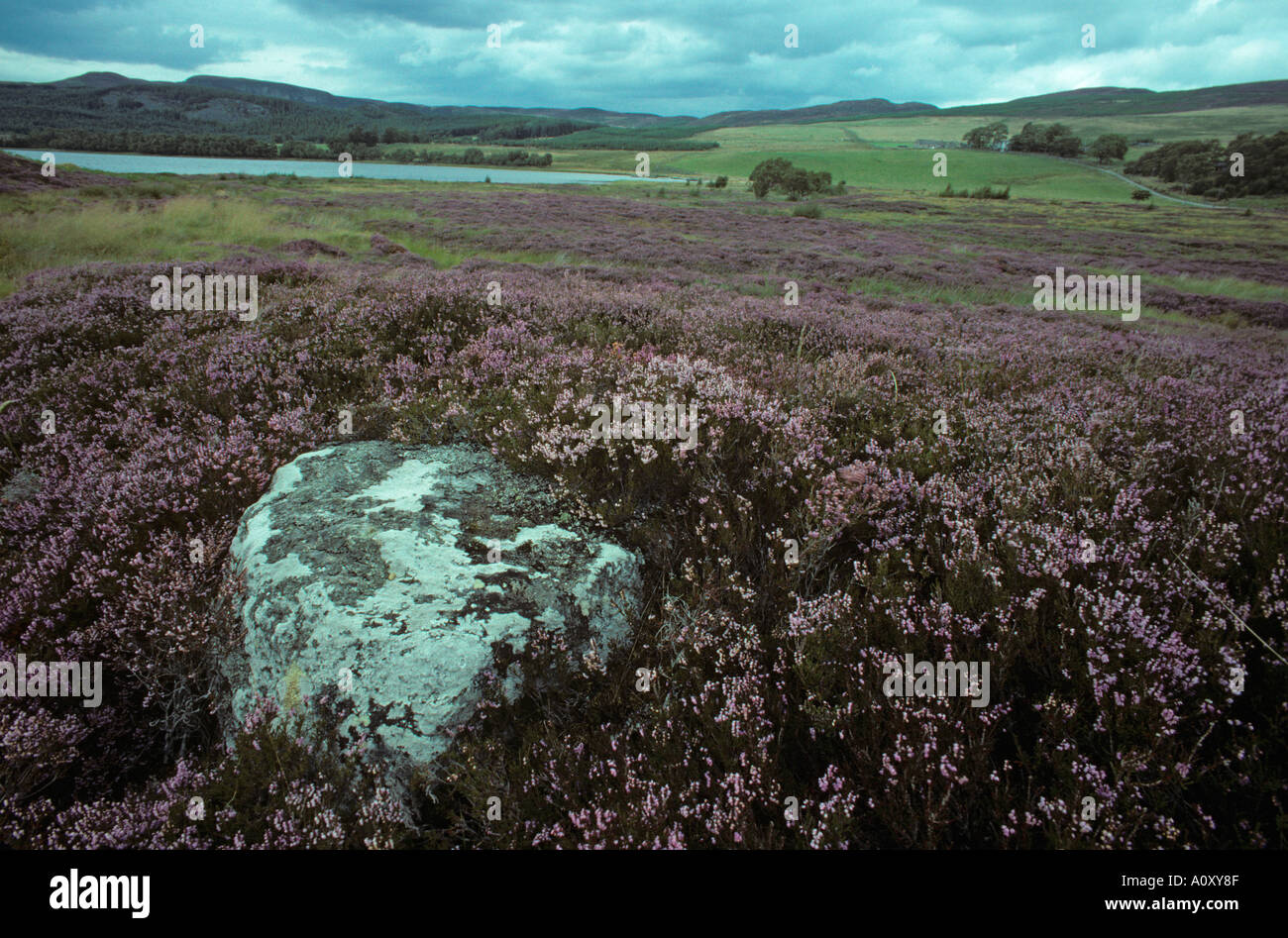 Loch ruthven hi-res stock photography and images - Alamy
