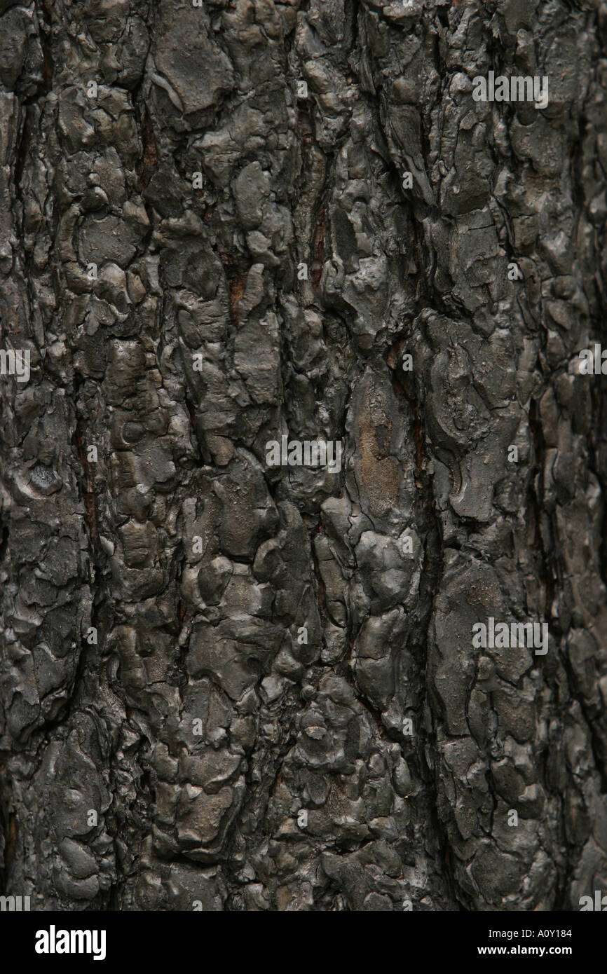 Tactile grooves hi-res stock photography and images - Alamy