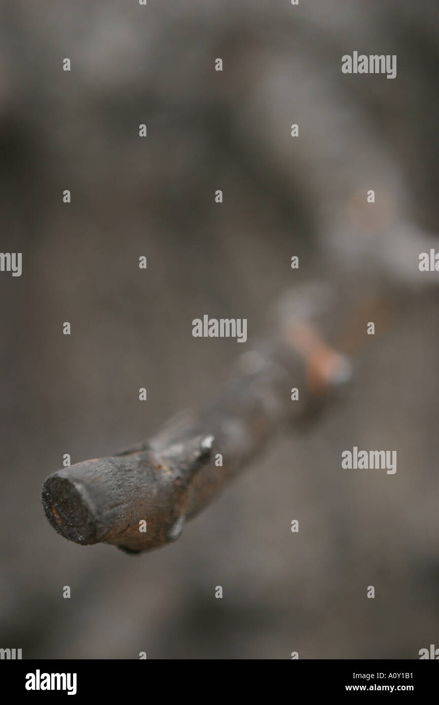 Tactile tip hi-res stock photography and images - Alamy