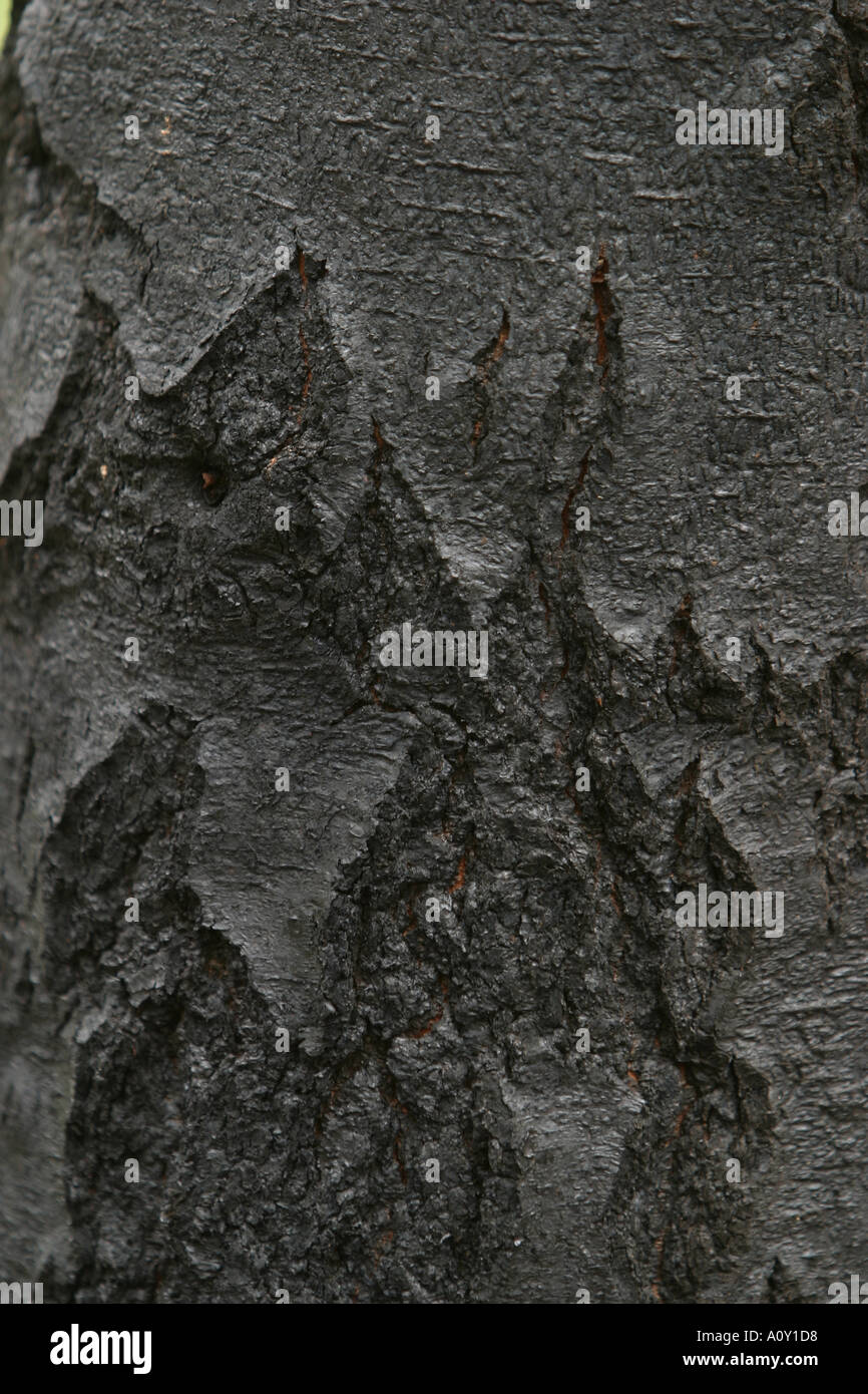 Asphalt grooves hi-res stock photography and images - Alamy