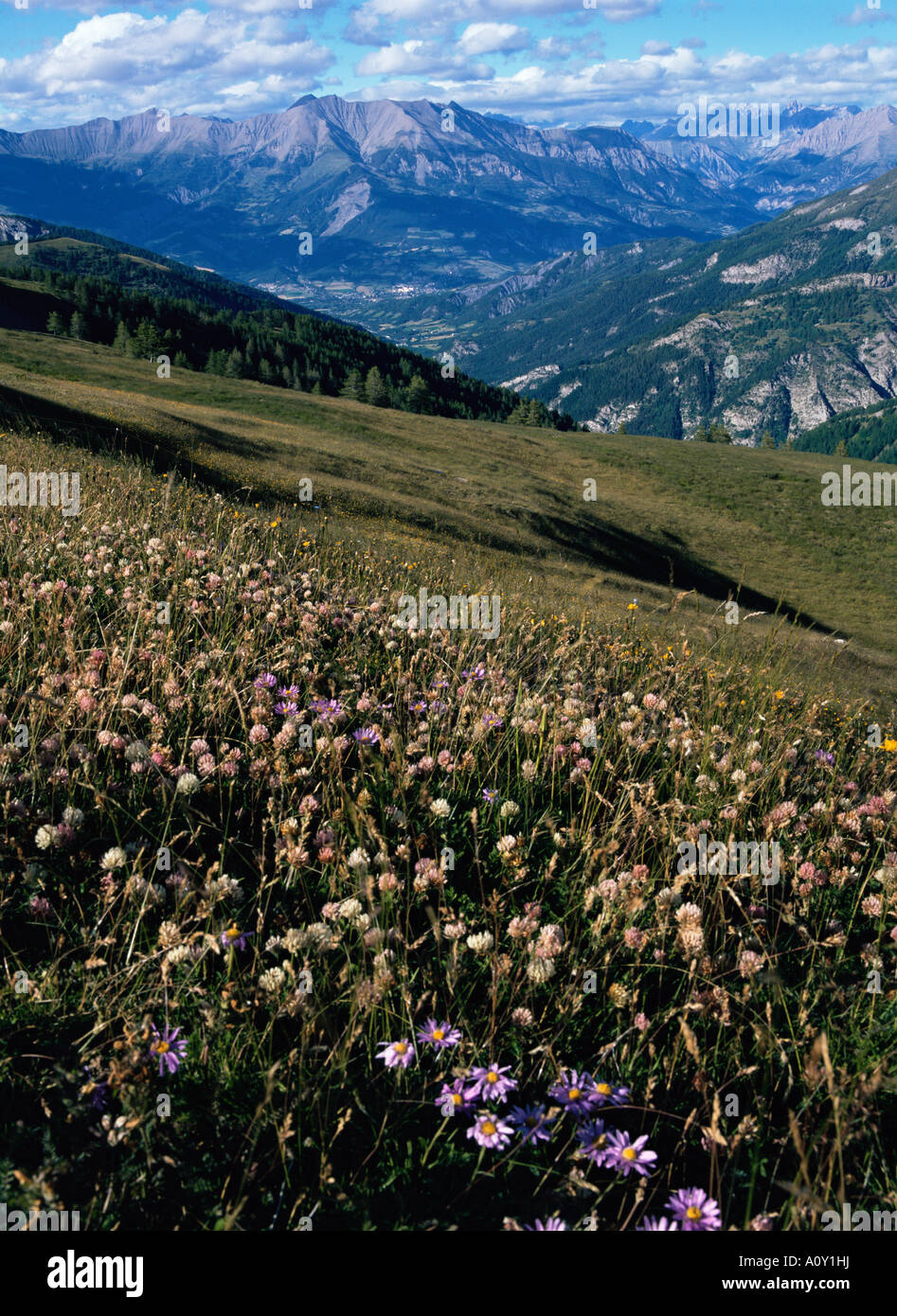 Col de allos hi-res stock photography and images - Alamy