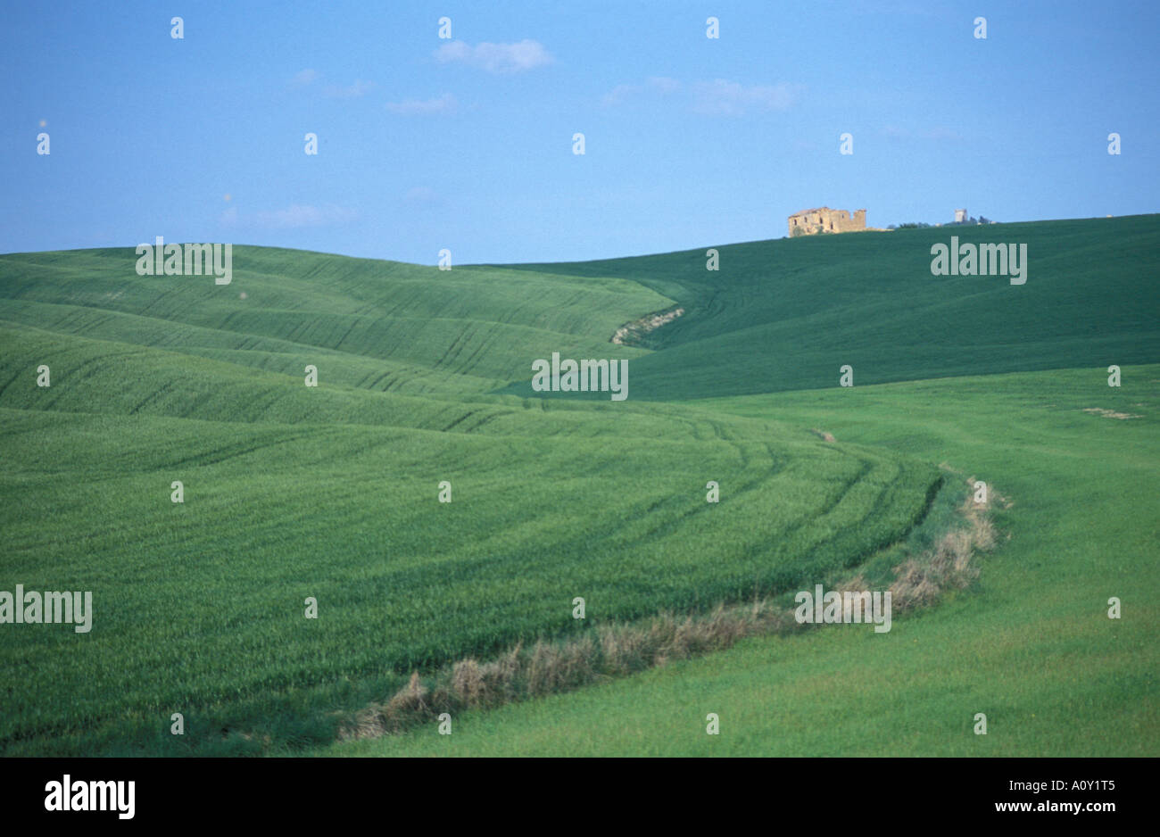 Siennese country hi-res stock photography and images - Alamy