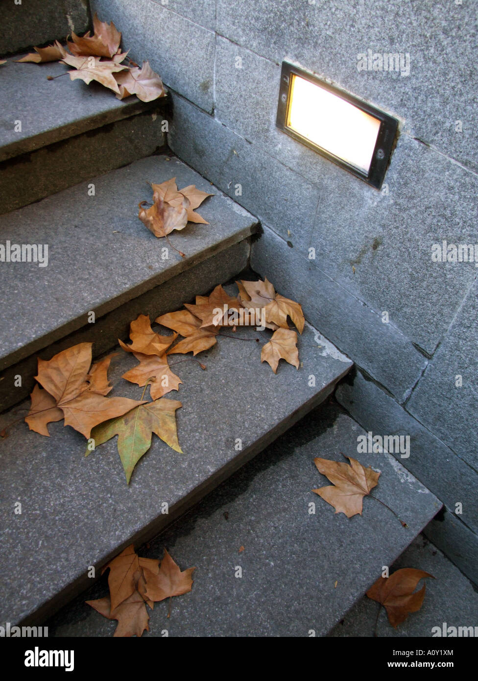 fallen leaves on steps with safety light Stock Photo - Alamy