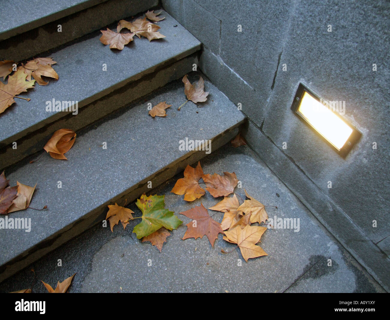 fallen leaves on steps with safety light Stock Photo - Alamy