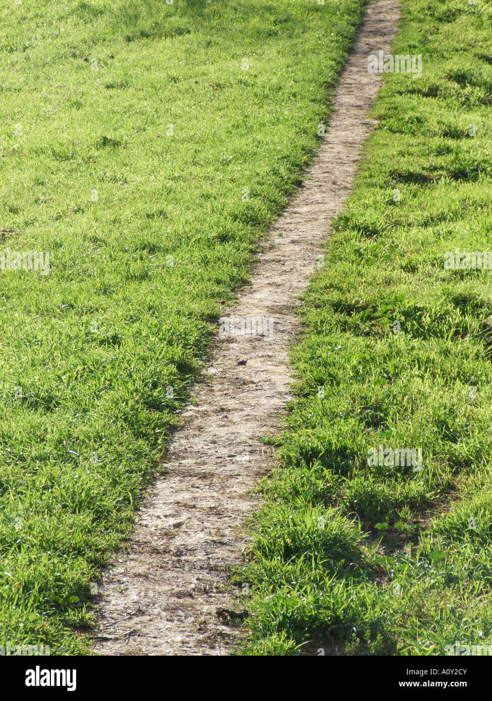 one narrow footpath in countryside Stock Photo - Alamy