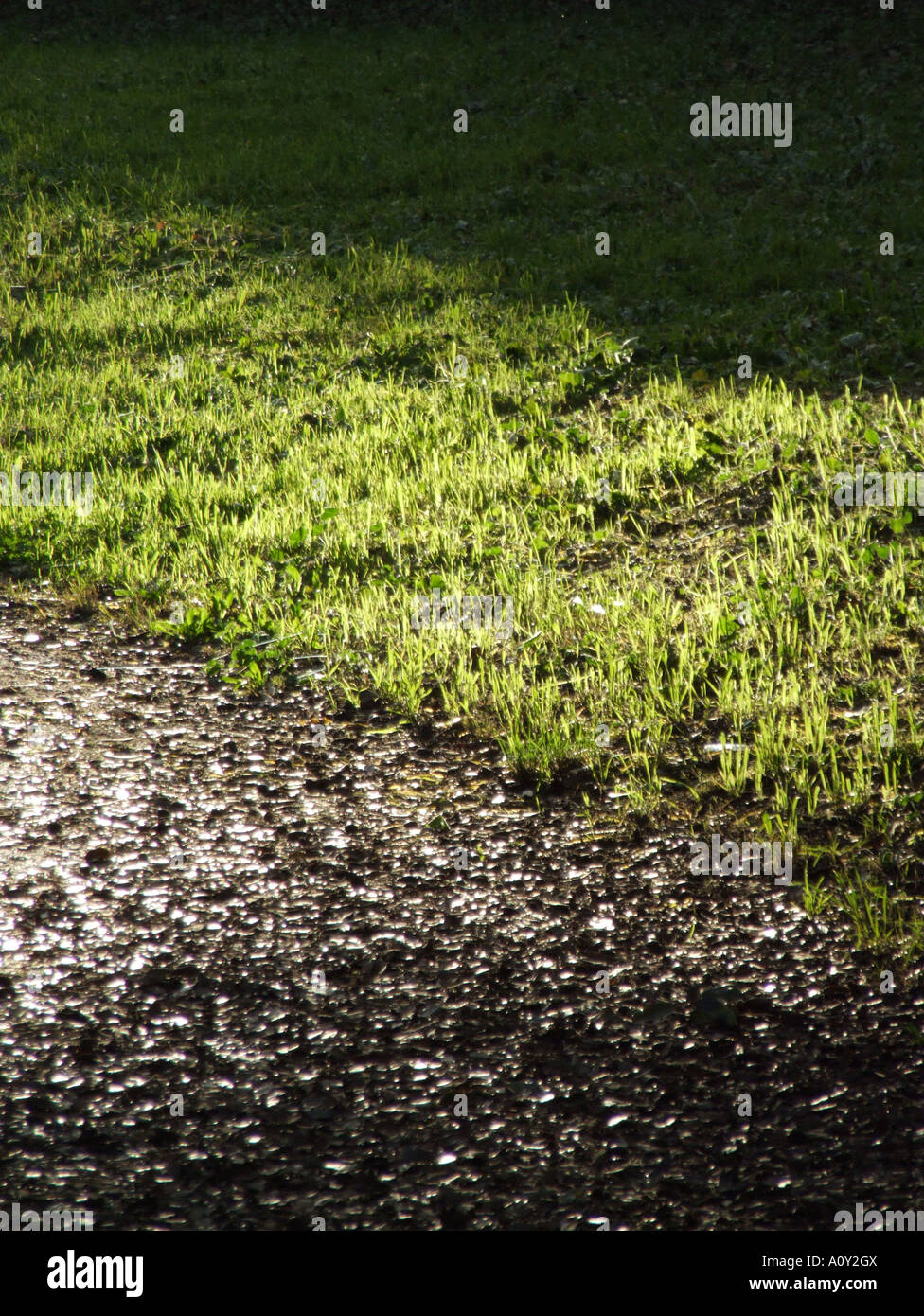detail of path dramatically lit Stock Photo - Alamy