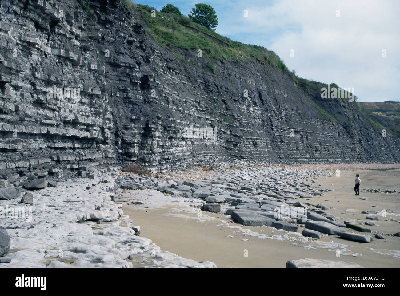 Sedimentary rocks blue lias shale limestone sequences Lyme Regis ...
